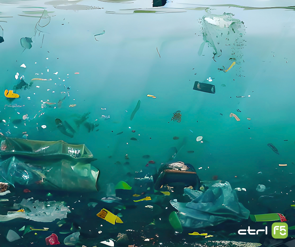 Fishermen In Rio De Janeiro Use App To Record, Report Water Pollution ...